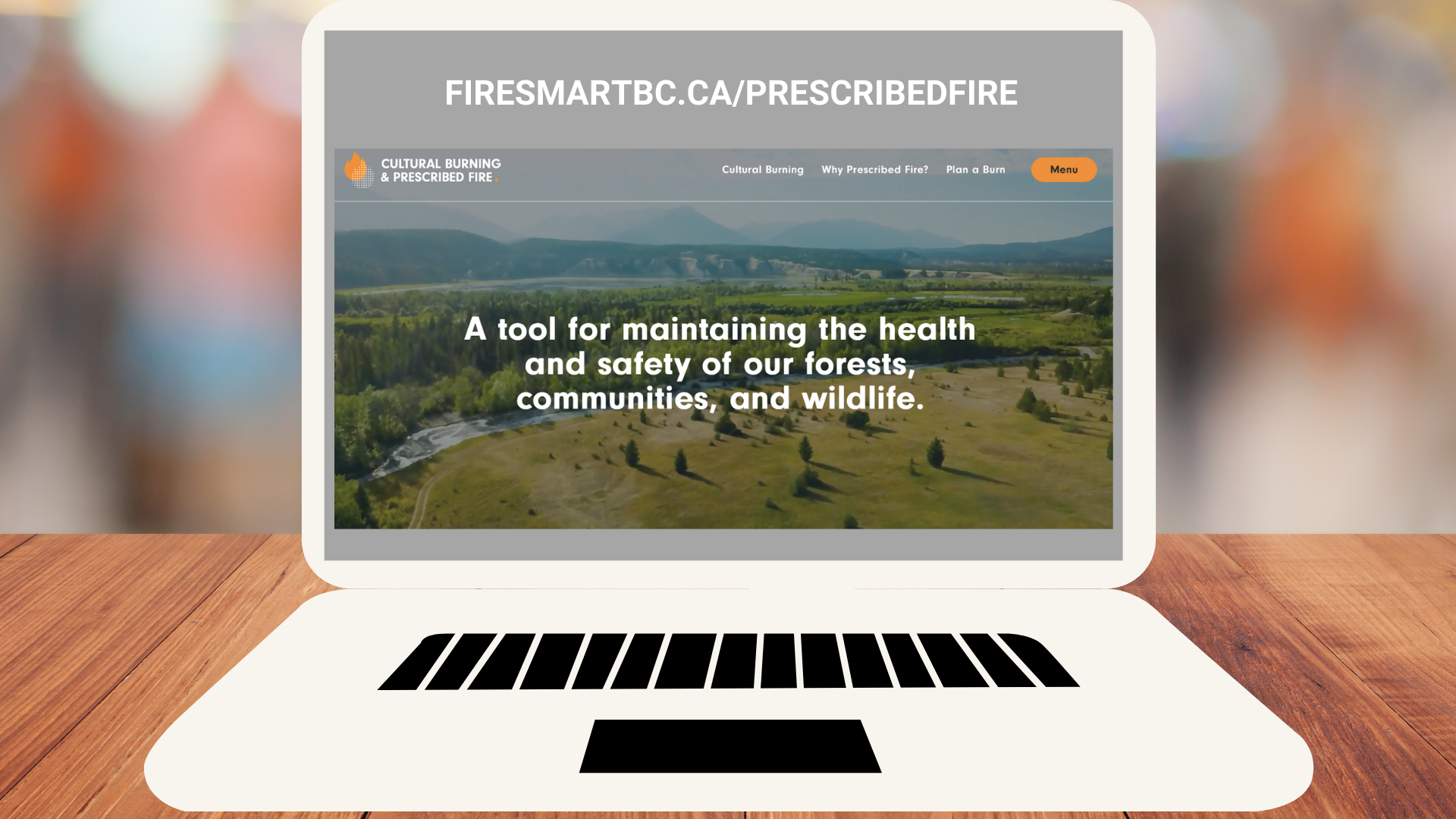 “Shared Stewardship”, an approach to wildfire risk reduction | FireSmart BC