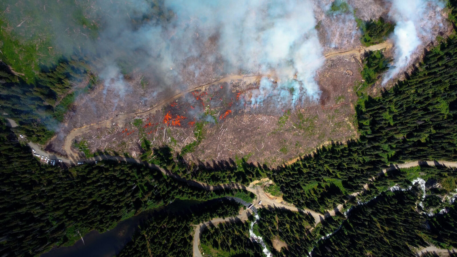 Firefighting backwards through prescribed fire and cultural burning ...