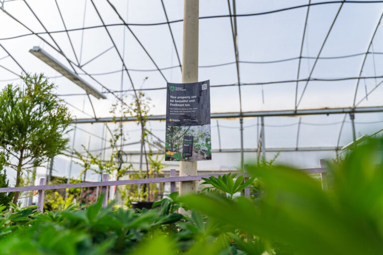 Get ready for the relaunch of the FireSmart Plant Program | FireSmart BC