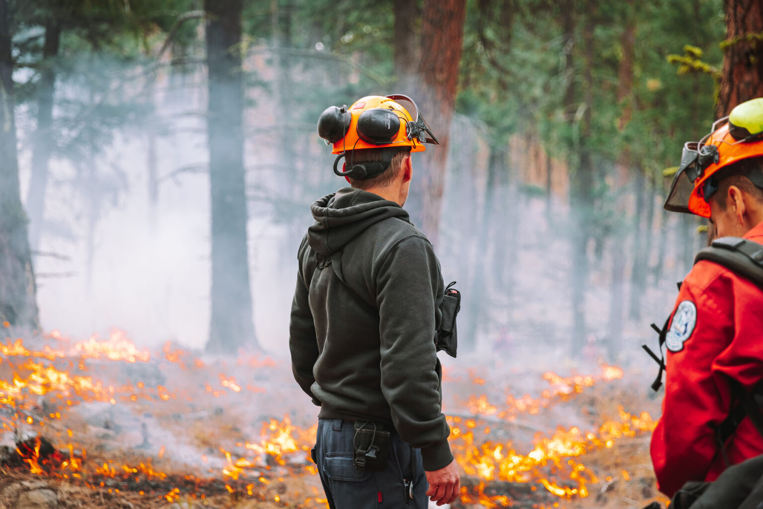 Shifting to a Proactive Model of Wildfire Management | FireSmart BC