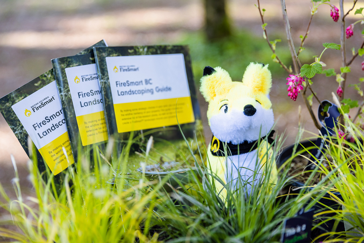 Plant Program | FireSmart BC