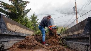 Wildfire Mitigation Program Hub | FireSmart BC