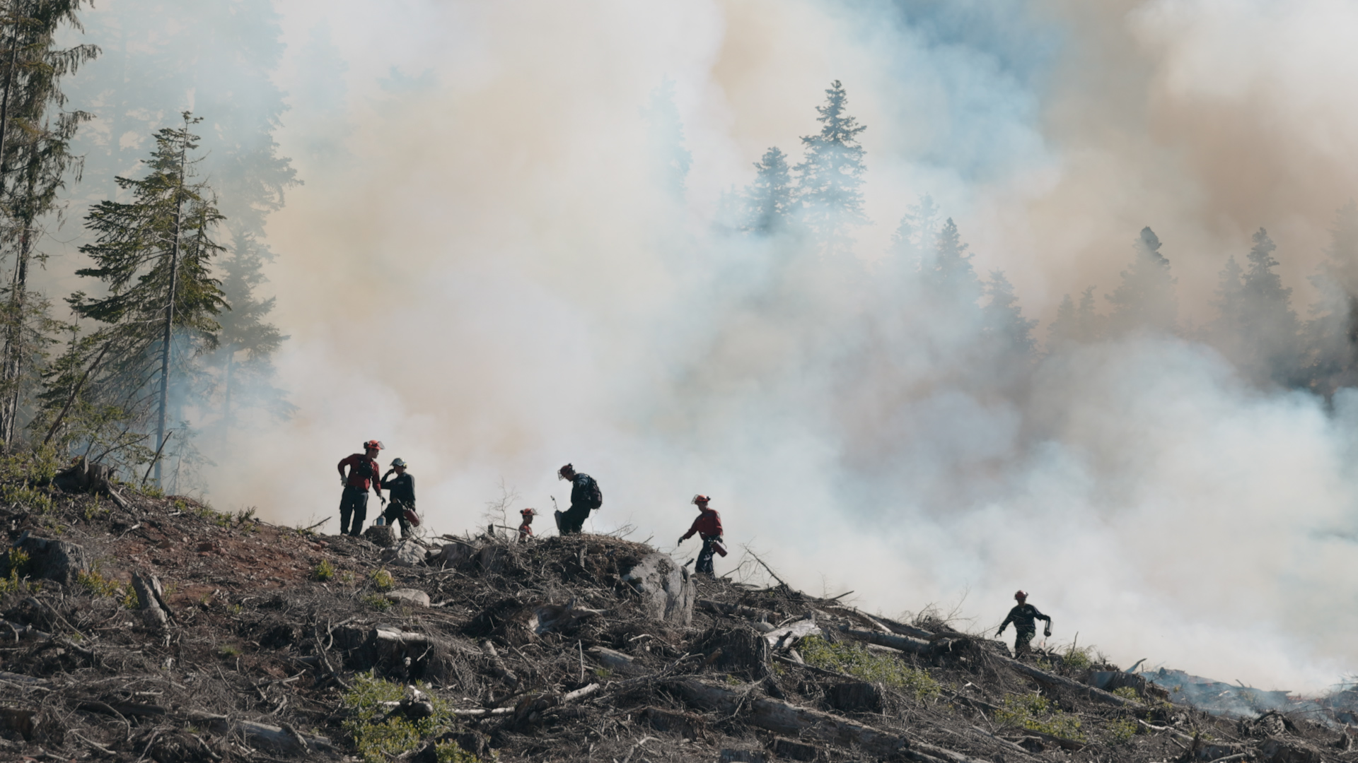 Nominate | FireSmart BC