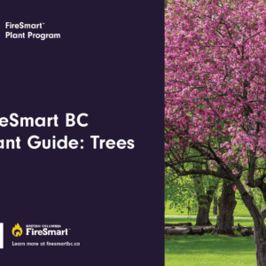 Guides & Manuals | FireSmart BC