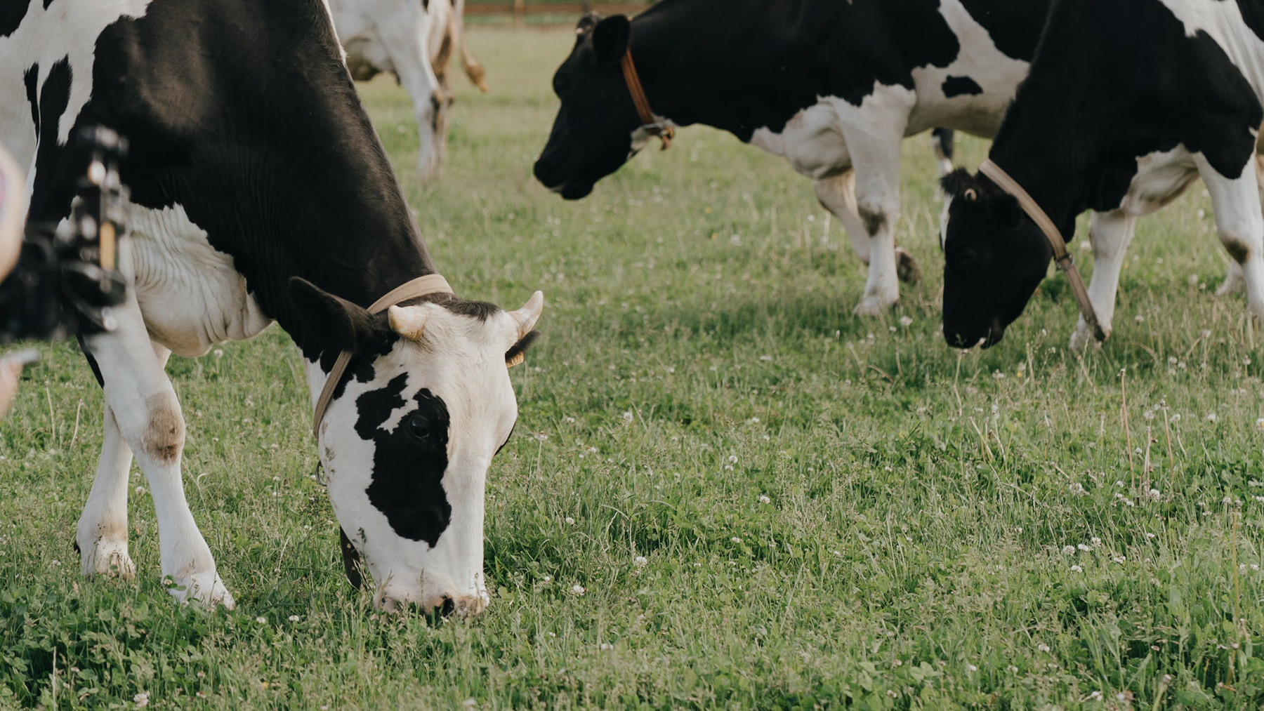 Farm and Ranch Wildfire Preparedness | FireSmart BC