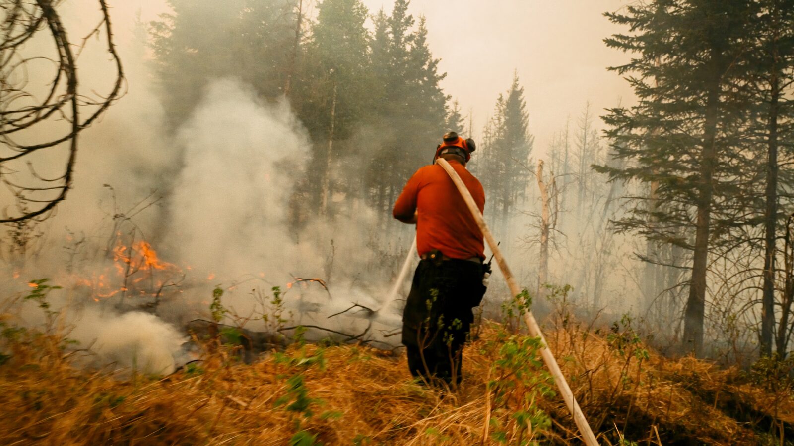 Campaigns | FireSmart BC