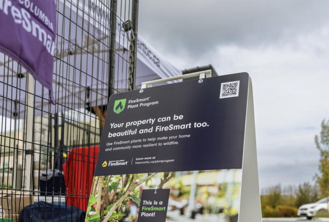 FireSmart Plant Program – How To Get Started | FireSmart BC