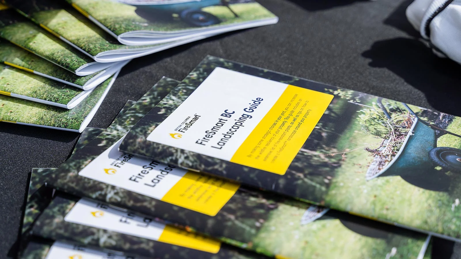 FireSmart BC uses gardening and landscaping boom to boost awareness ...