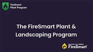 FSBC Plant Program Presentation (Public Version) | FireSmart BC