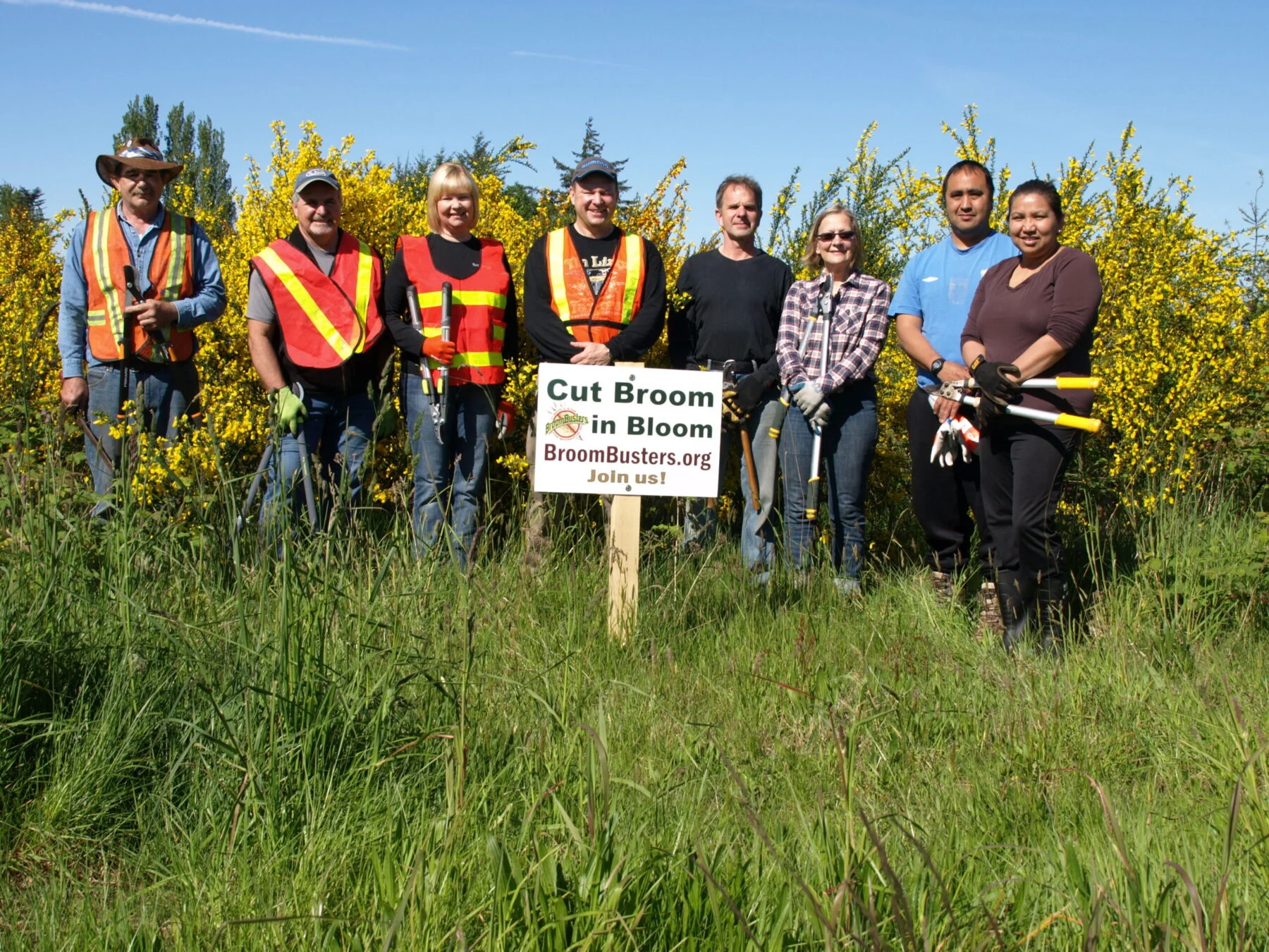 The City of Powell River and Broombusters team up to remove hazardous ...