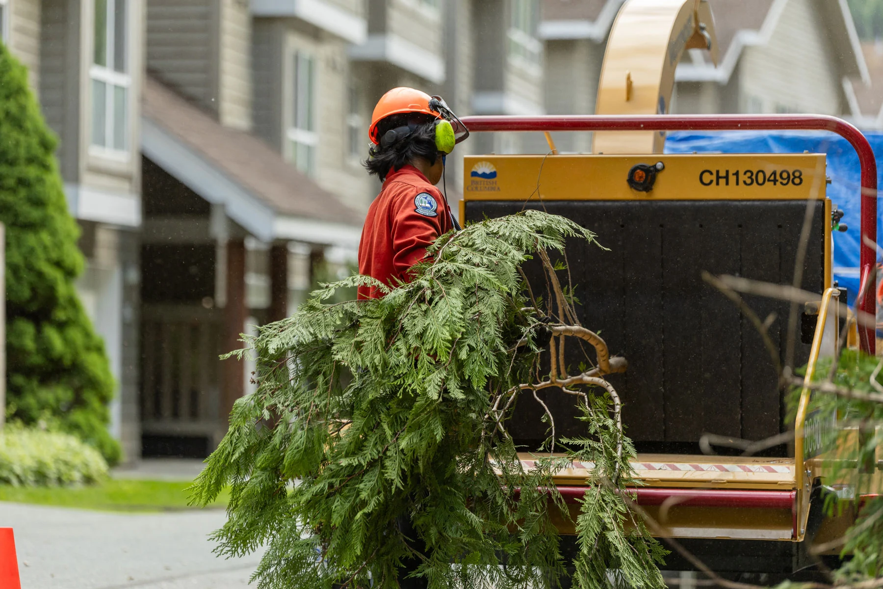 The Local FireSmart Collective Program (LFCP) | FireSmart BC